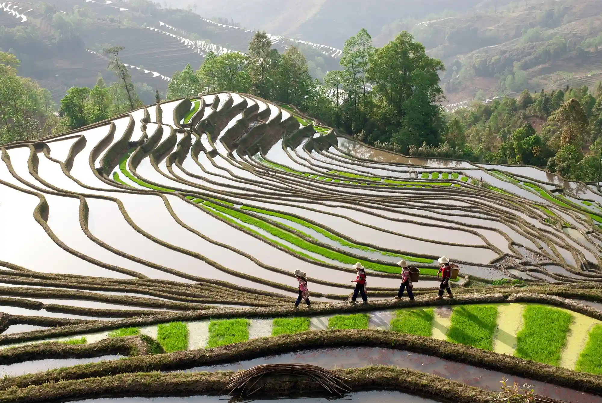 Top 10 Incredible Terrace Fields in the World - Travelistia