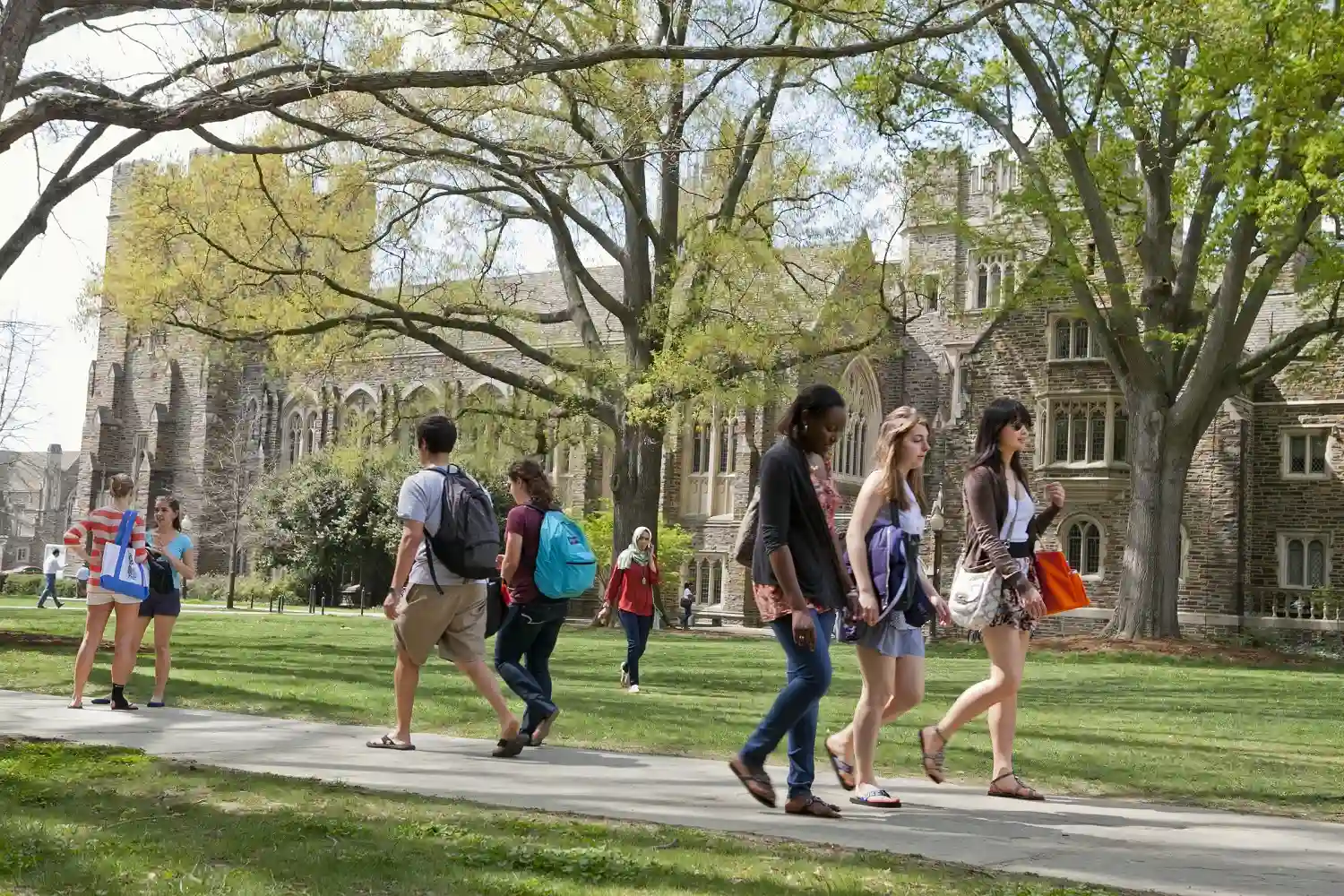 Study Abroad Programs For College Students
